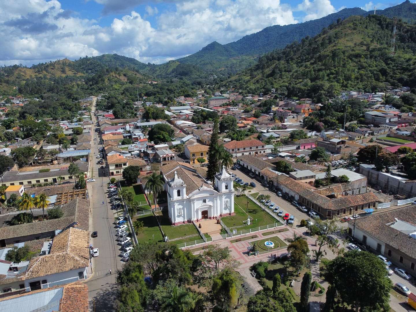 Danli diversity - online puzzle