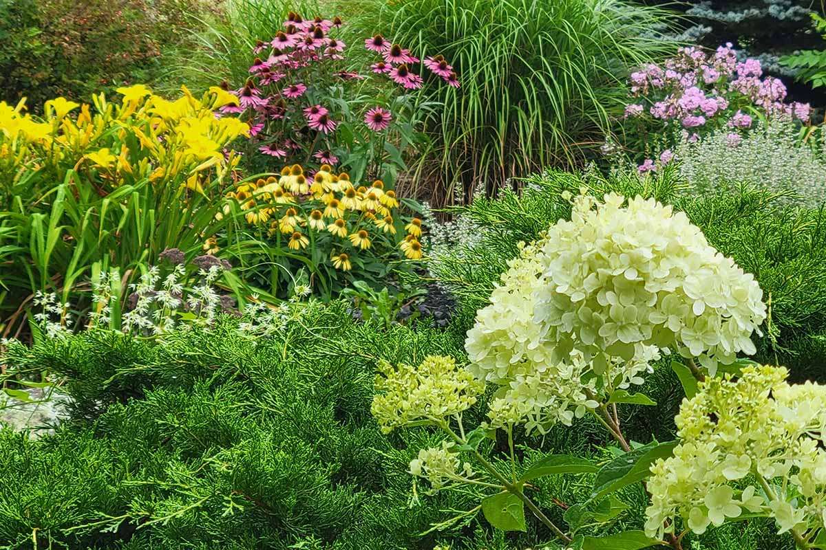 Blumenpuzzles - kostenlose Online-Puzzles mit Blumen - Puzzle Factory - Seite 19.