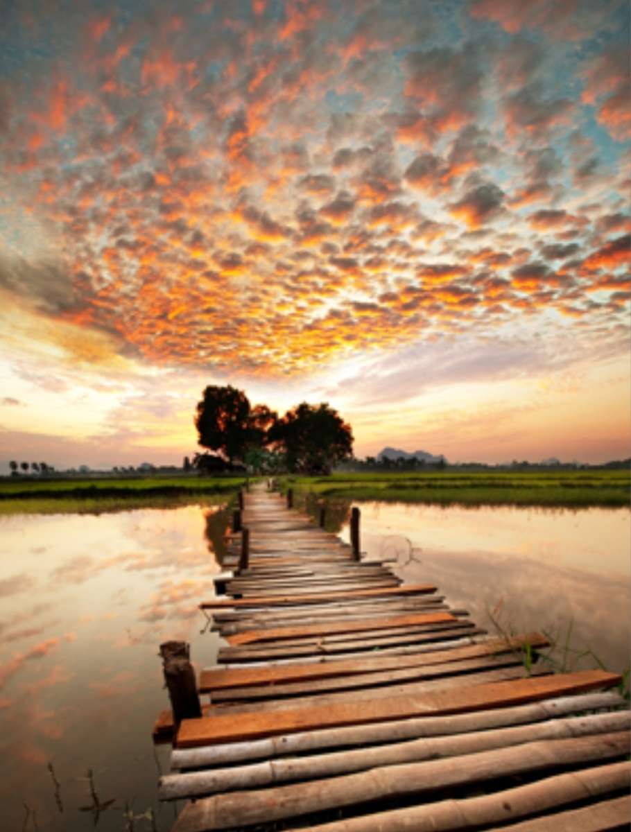 vue - puzzle en ligne