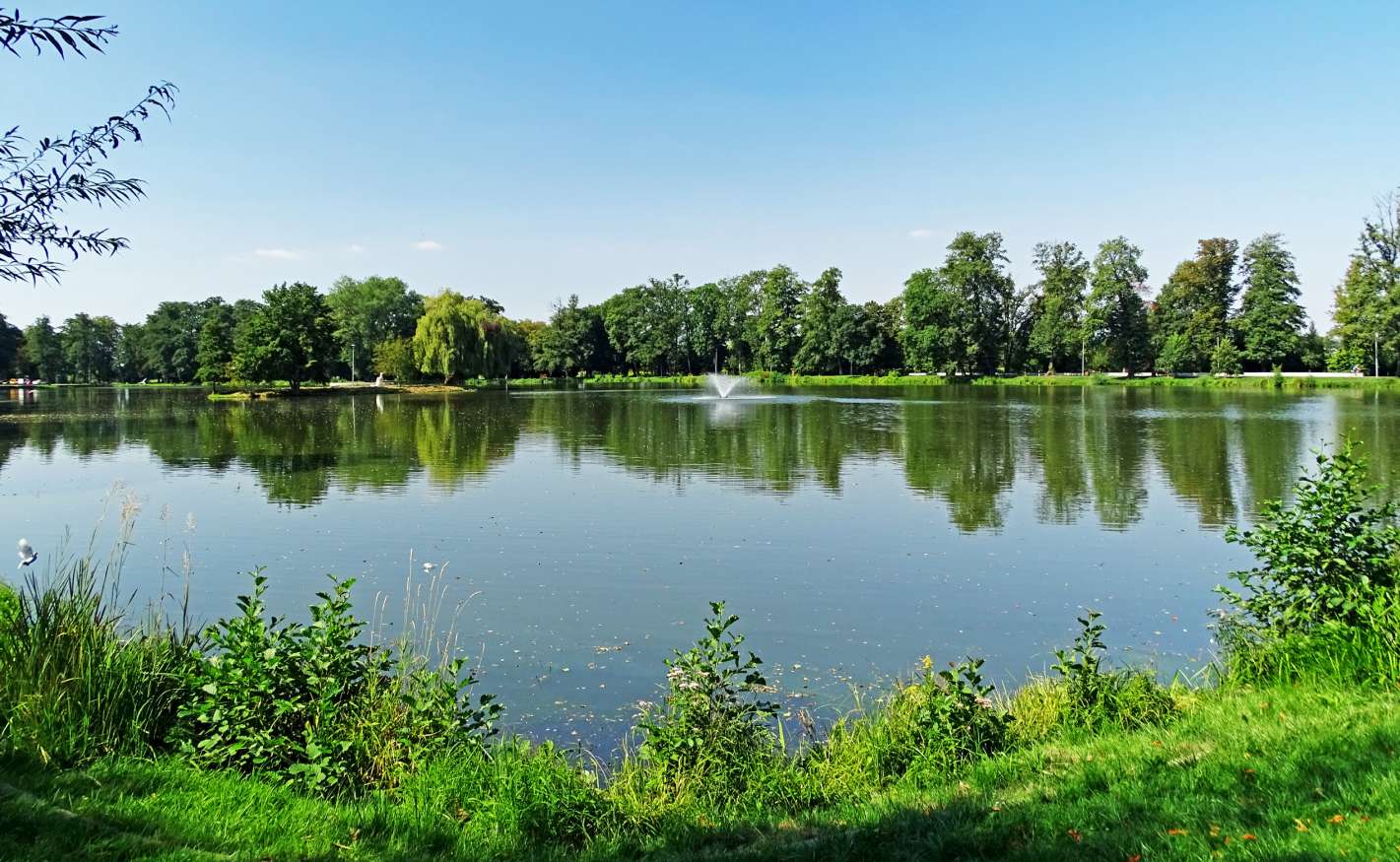 Oleśnica Recreation Complex "ATOL" - online puzzle