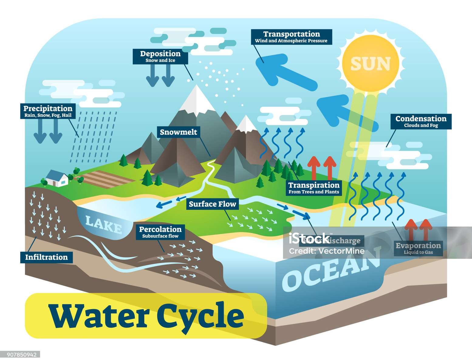 Cycle de l'eau 1 - puzzle en ligne