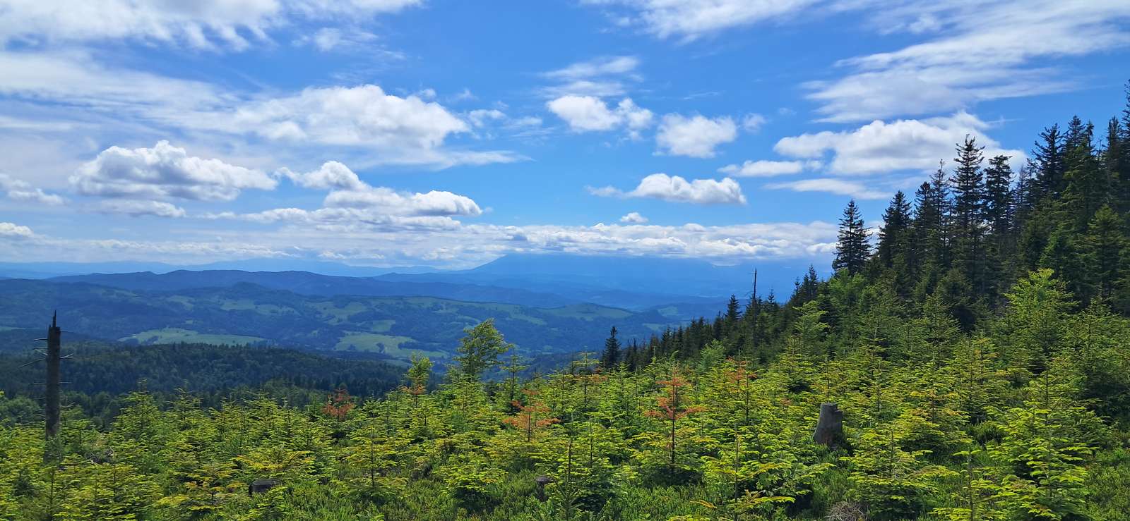 mountain views - online puzzle