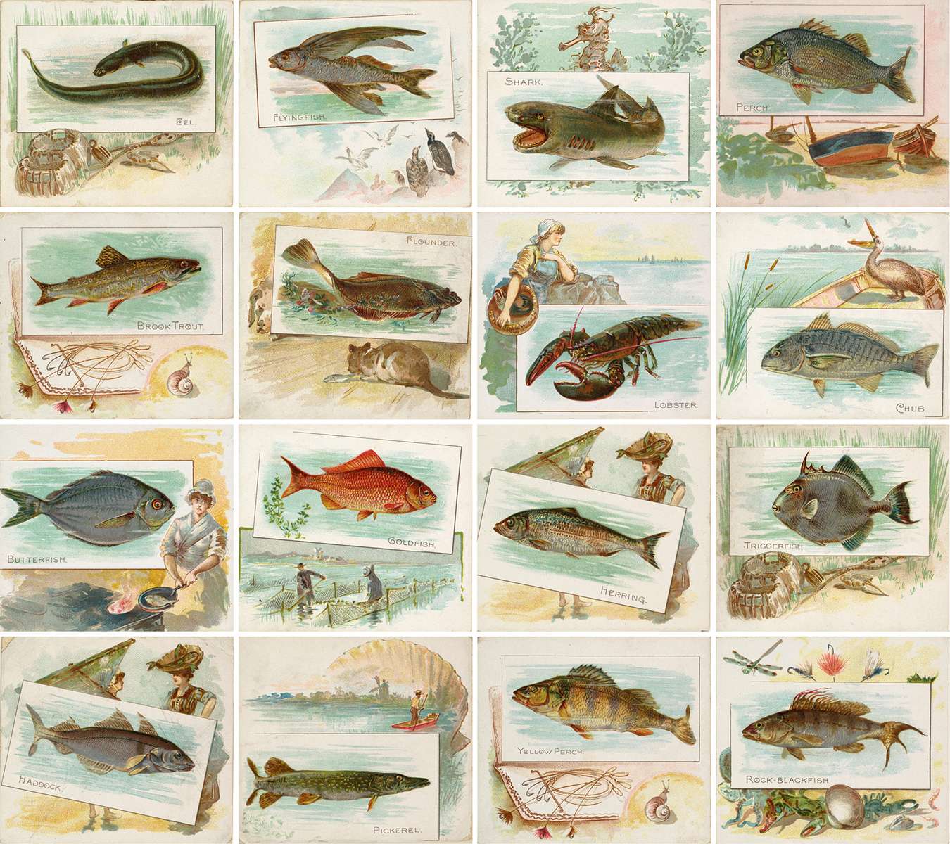 Allen&Ginter -1889- North American Fish-1 - online puzzle