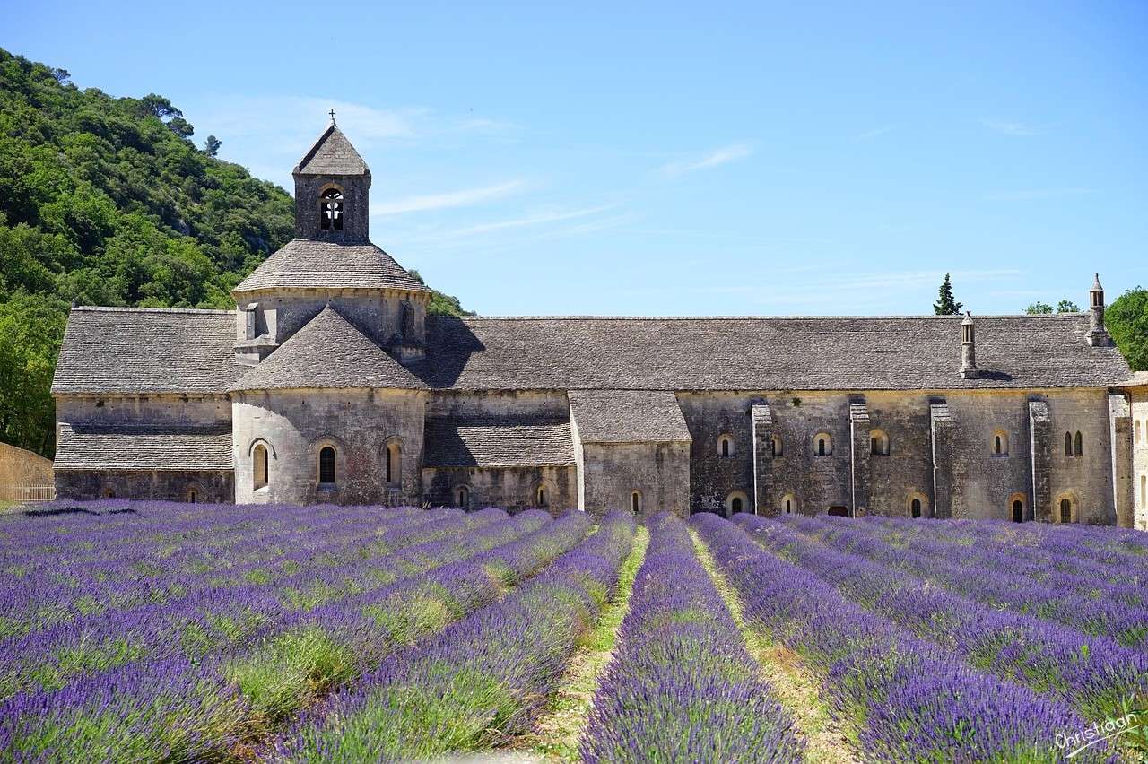 Abbaye de senanque, klasztor, opactwo. - puzzle online
