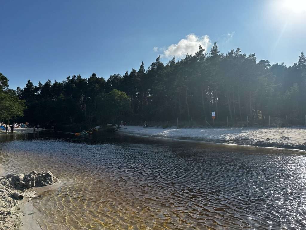 Malownicza rzeka na plaży - puzzle online